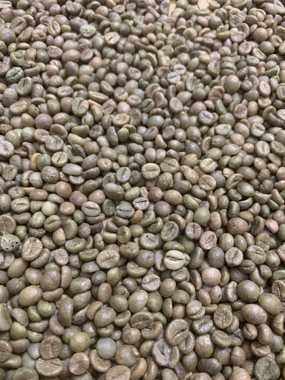 SHINNA COFFEE – SHINNA